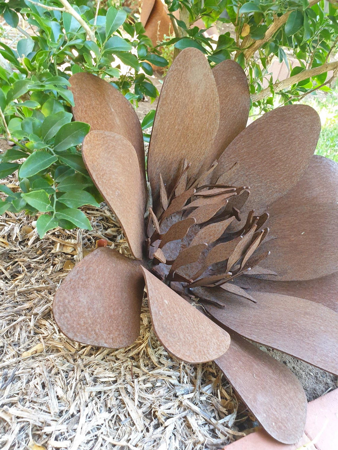 Flower Australian Made Rusted Metal Garden Art | Etsy