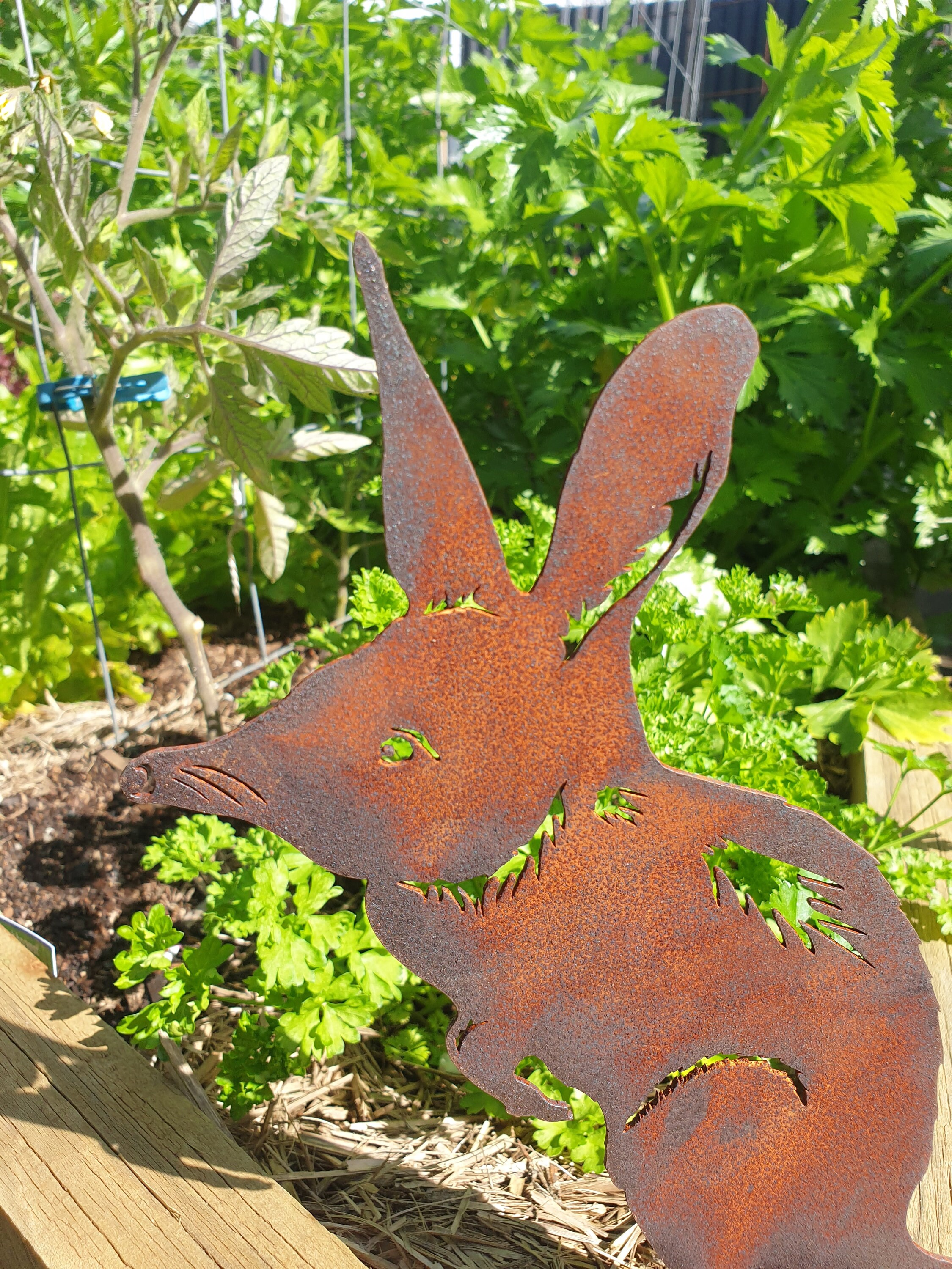 Bilby Standing Australian Made Rusted Metal Garden Art - Etsy Australia