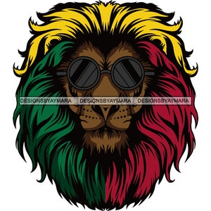 Lion Head Wild Animal Wildlife King Mammal Africa Strength Carnivore ...