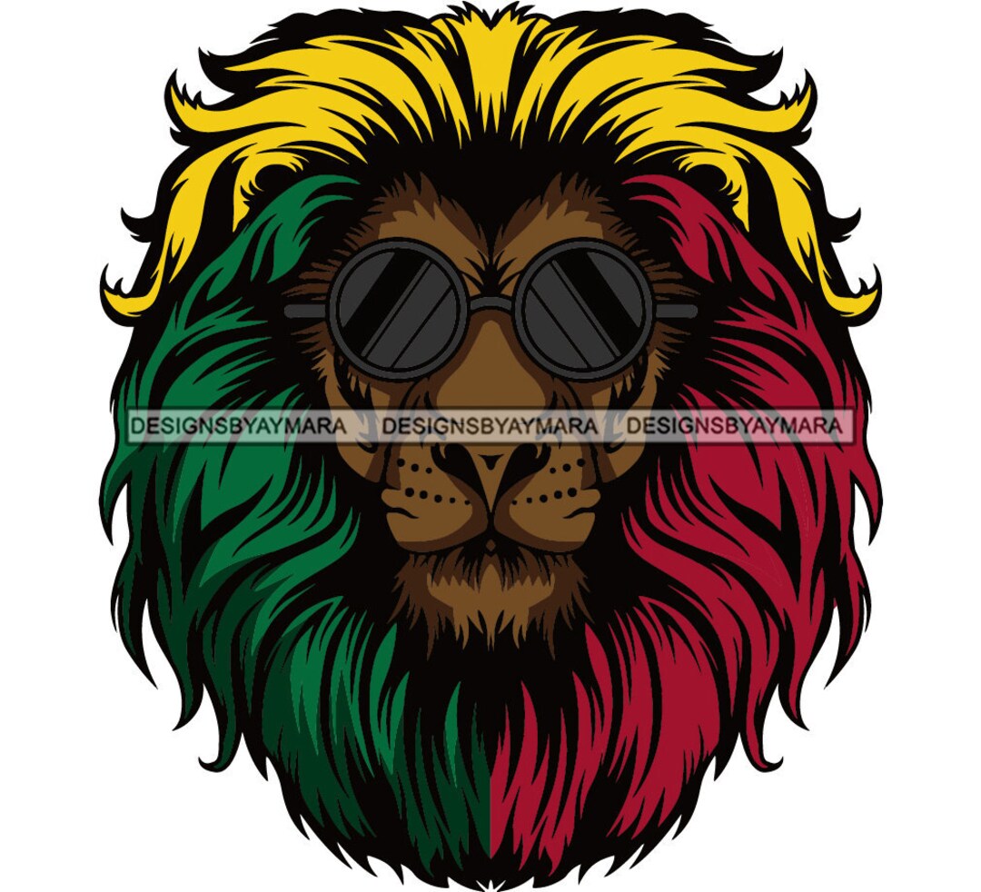 Lion Head Wild Animal Wildlife King Mammal Africa Strength Carnivore ...