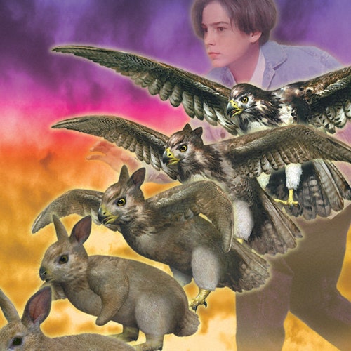 ANIMORPHS 54: THE BEGINNING Art Print Signed by the Artist | Etsy