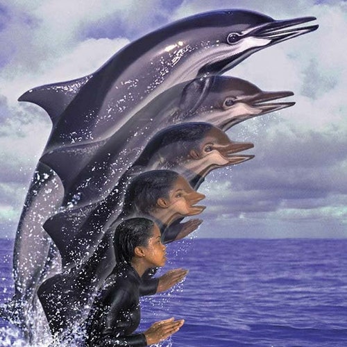 ANIMORPHS 54: THE BEGINNING Art Print Signed by the Artist - Etsy