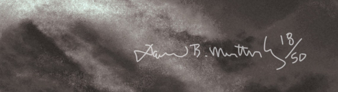 ANIMORPHS 29: THE SICKNESS Art Print Signed and Numbered by - Etsy