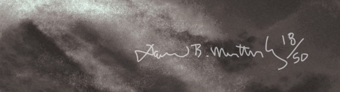 ANIMORPHS 29: THE SICKNESS Art Print Signed and Numbered by - Etsy