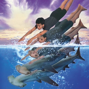 ANIMORPHS #15: ESCAPE Art Print, Signed and Numbered by the Artist - Etsy