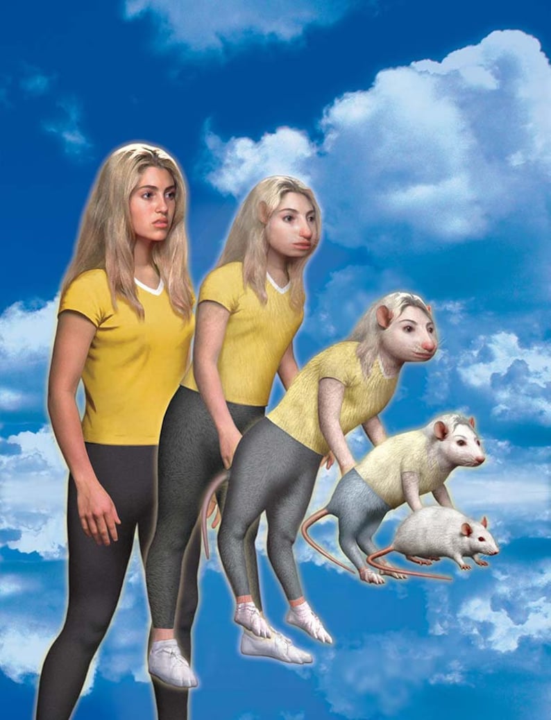 ANIMORPHS 22: THE SOLUTION art print signed and numbered by | Etsy