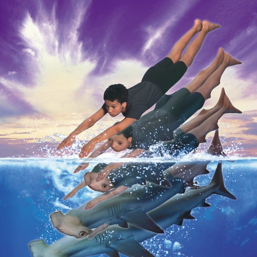 ANIMORPHS 22: THE SOLUTION Art Print Signed and Numbered by - Etsy