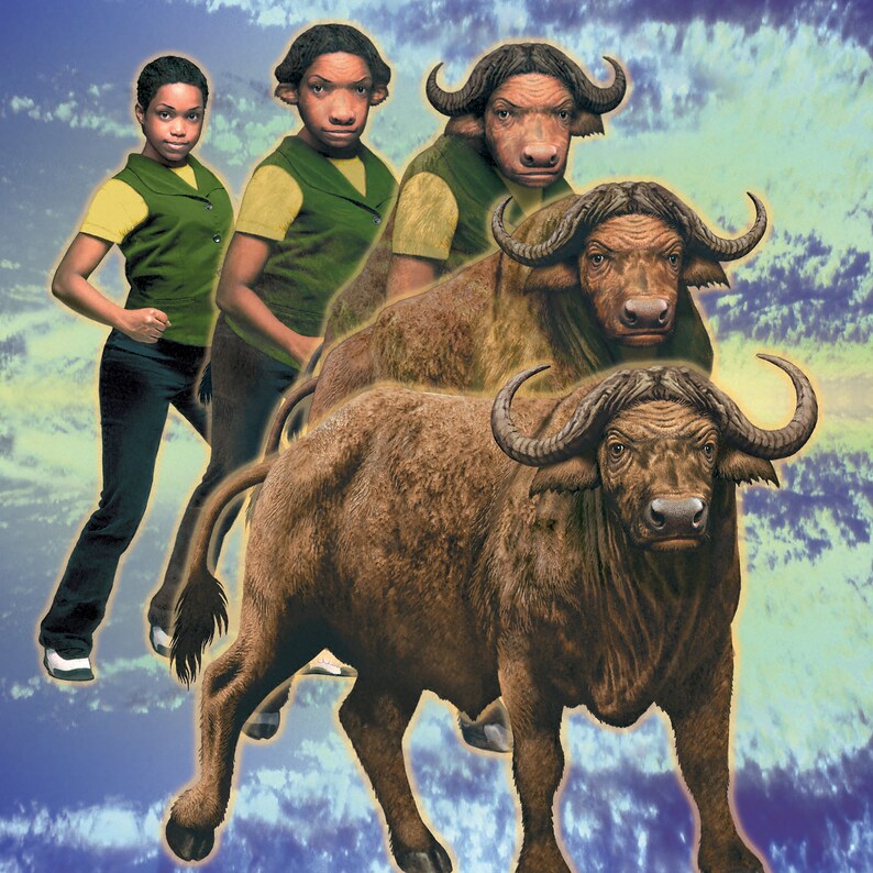 ANIMORPHS 39: THE HIDDEN Art Print Signed and Numbered by | Etsy