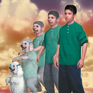 ANIMORPHS #35: THE PROPOSAL Art Print, Signed and Numbered by the ...