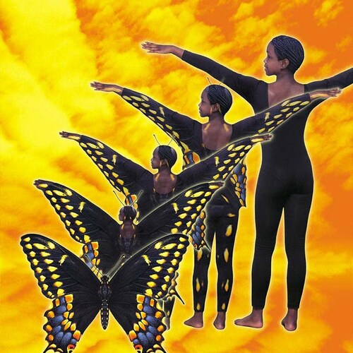 ANIMORPHS 04: THE MESSAGE Art Print Signed and Numbered by - Etsy