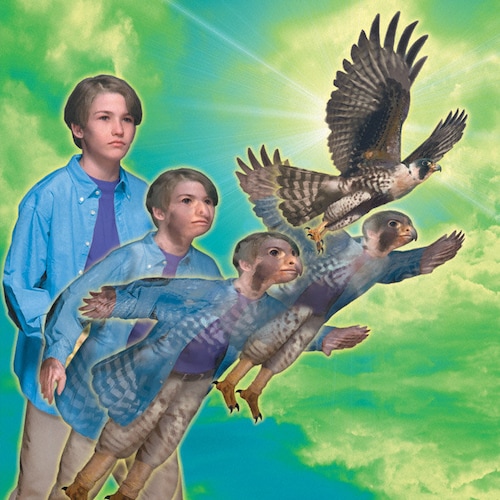 ANIMORPHS 29: THE SICKNESS Art Print Signed and Numbered by - Etsy