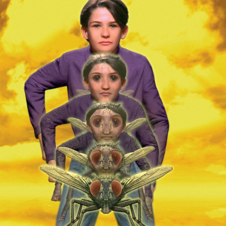 ANIMORPHS #06: THE CAPTURE Art Print, Signed and Numbered by the Artist ...
