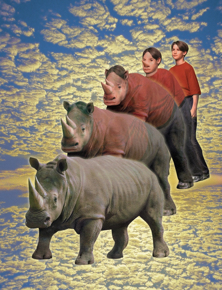 ANIMORPHS 16: THE WARNING Art Print Signed and Numbered by - Etsy