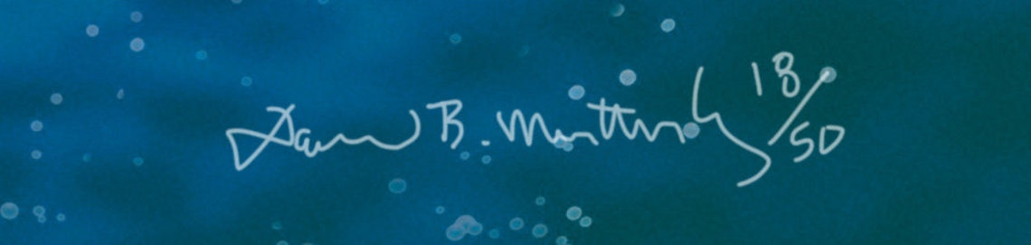 ANIMORPHS 27: THE EXPOSED Art Print Signed and Numbered by - Etsy