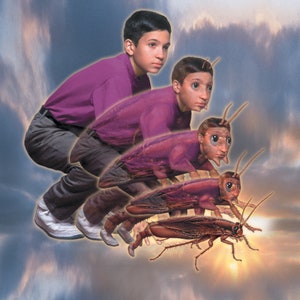 ANIMORPHS #30: THE REUNION Art Print, Signed and Numbered by the Artist ...