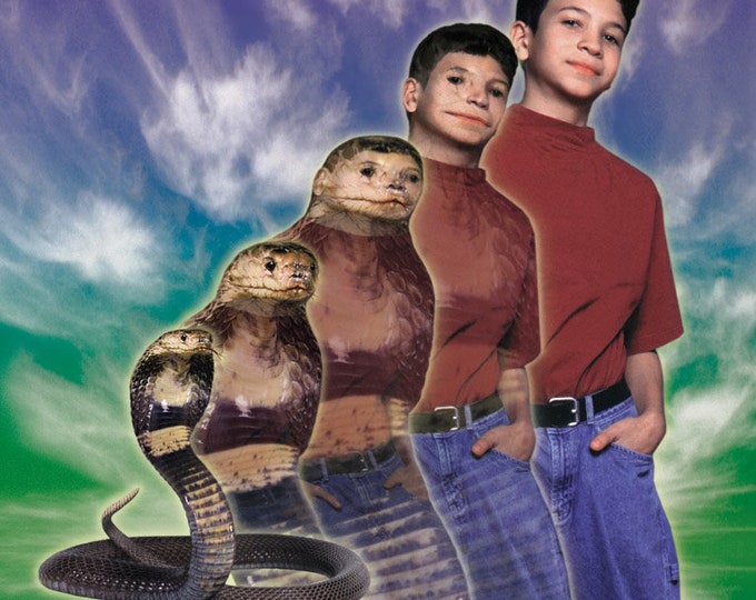 ANIMORPHS 20: THE DISCOVERY Art Print, Signed and Numbered by the ...