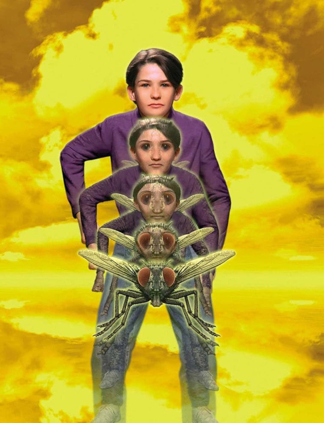 ANIMORPHS #06: THE CAPTURE Art Print, Signed and Numbered by the Artist ...