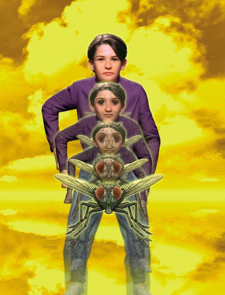 ANIMORPHS #06: THE CAPTURE Art Print, Signed and Numbered by the Artist ...