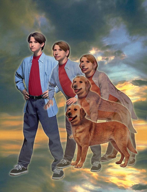 Portadas De Animorphs
