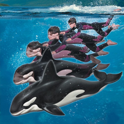 ANIMORPHS 29: THE SICKNESS Art Print Signed and Numbered by - Etsy