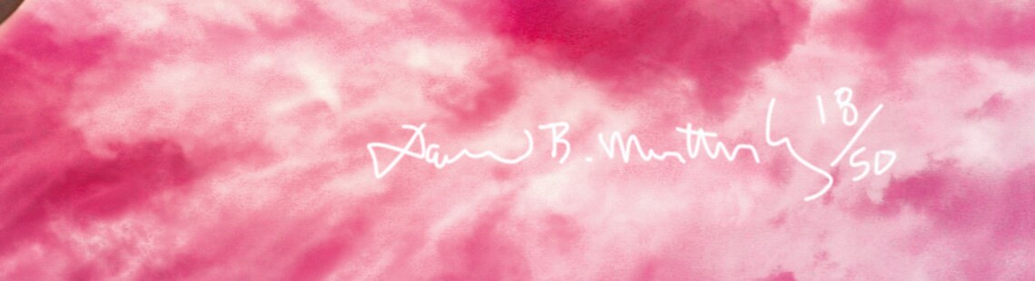 ANIMORPHS 17: THE UNDERGROUND Art Print Signed and Numbered - Etsy