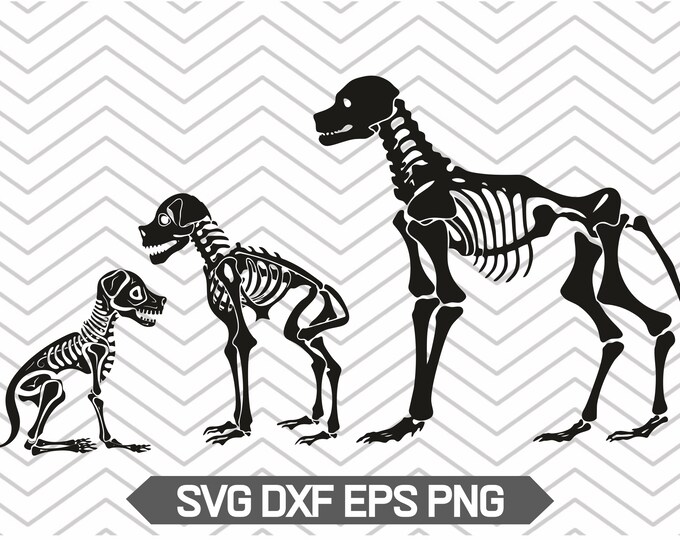 Dog Skeleton #4 Svg, Dog Svg, Kanine Svg, Dog Skeleton Dxf, Dog ...