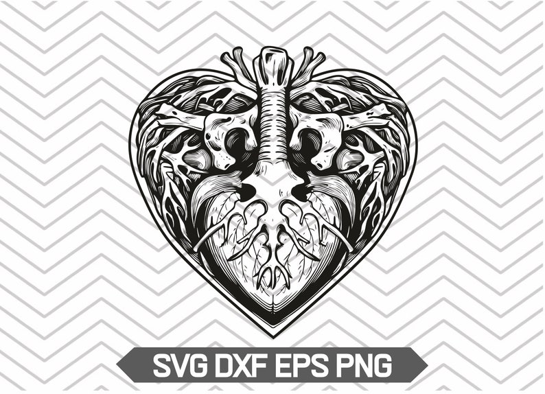 Huesos corazón svg, corazón muerto svg, corazón humano svg - Etsy México