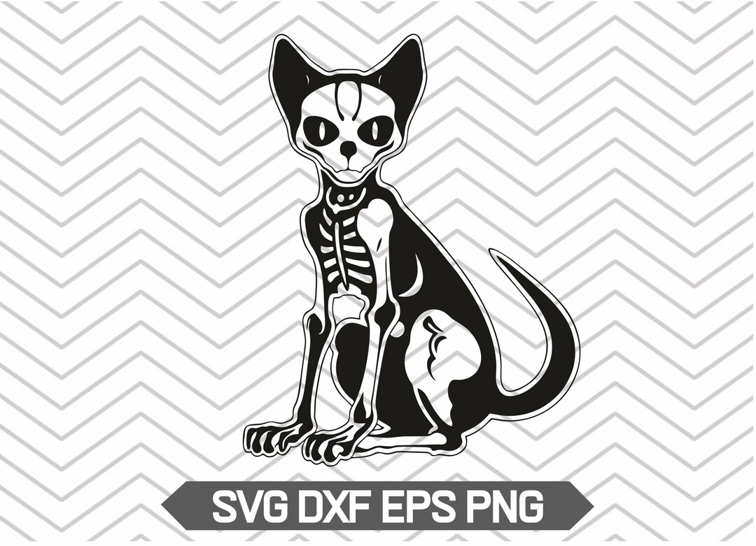 Skeleton Cat Svg, Cat Skeleton Silhouette, Horror Cat Clipart, Dead Svg ...