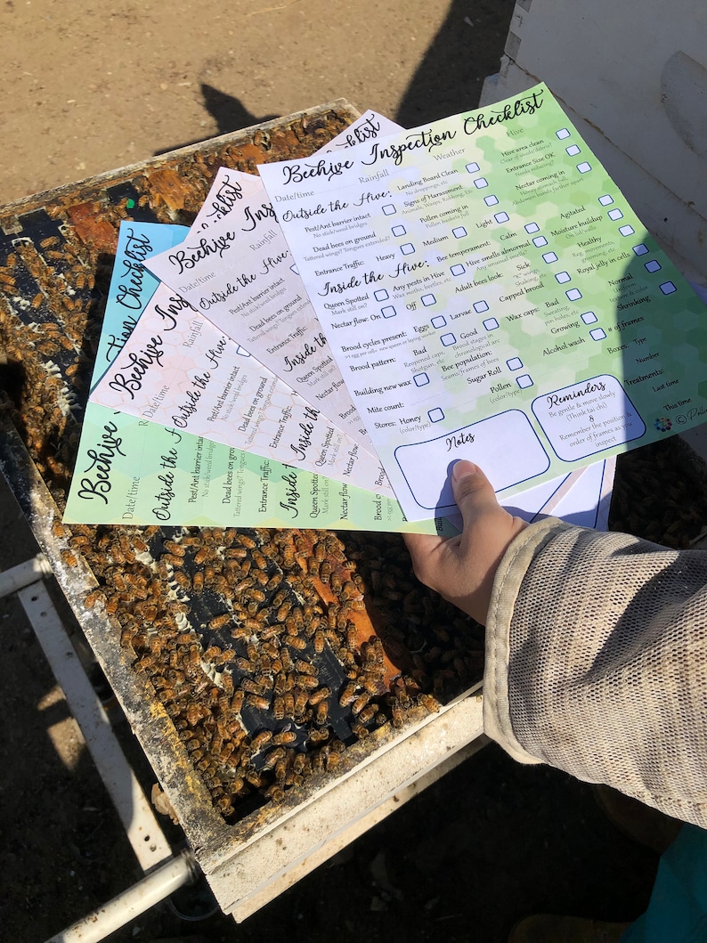 Beige Honeycomb Beehive Inspection Checklist ~ Beekeeping Notes ~ Honey ...