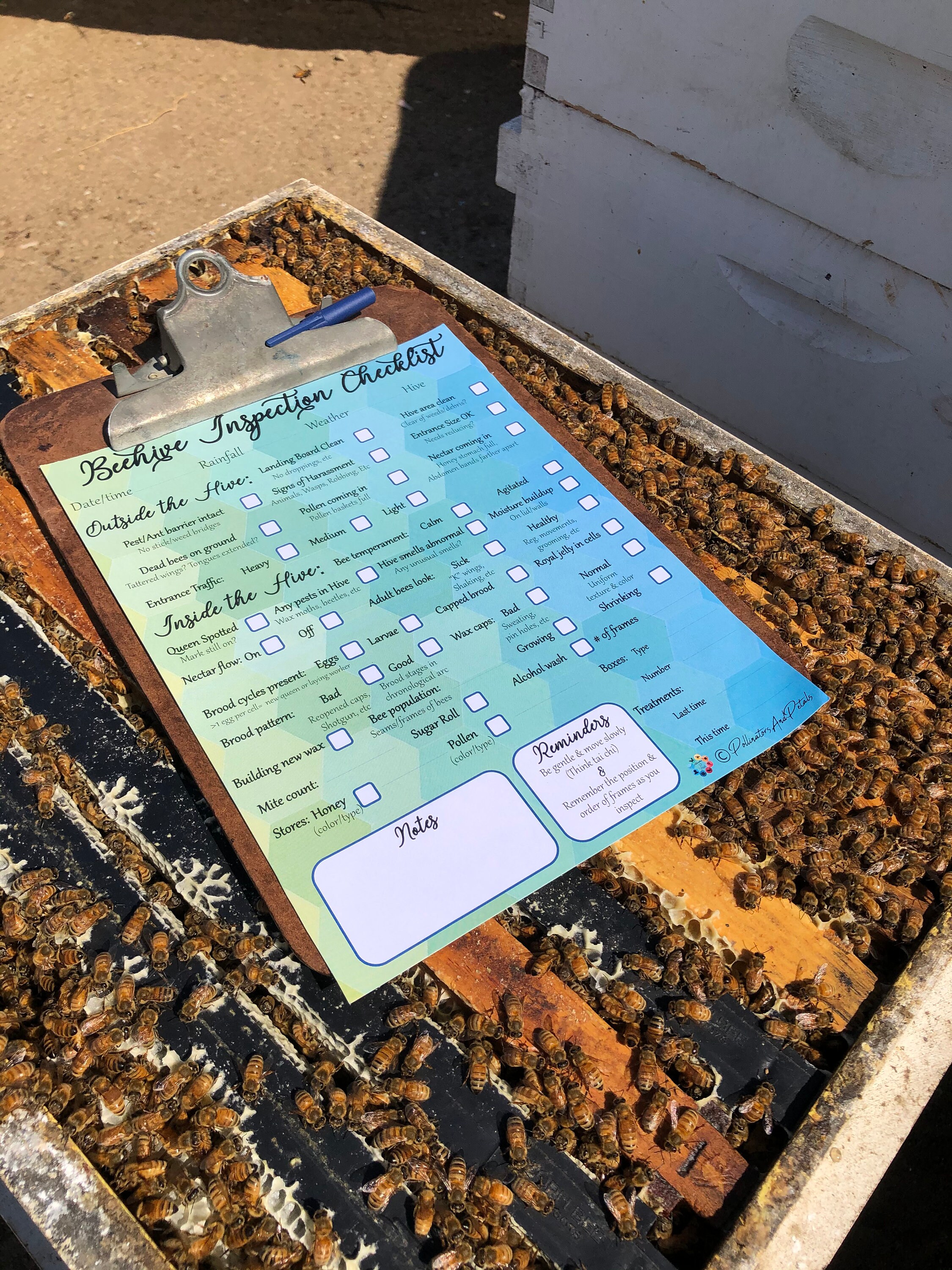 Blue & Green Hexagon Beehive Inspection Checklist ~ Beekeeping Notes ...