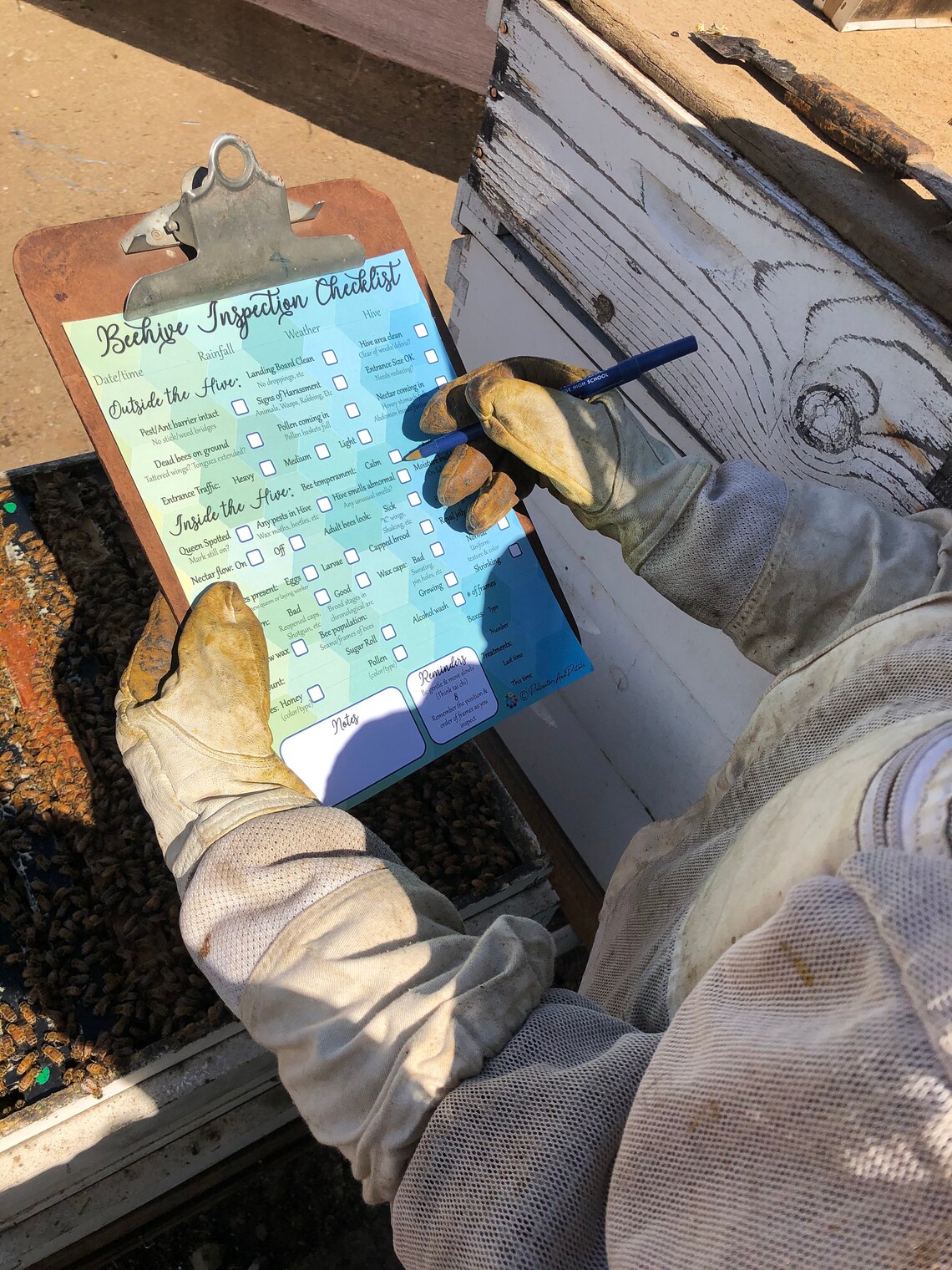 Beige Honeycomb Beehive Inspection Checklist ~ Beekeeping Notes ~ Honey ...