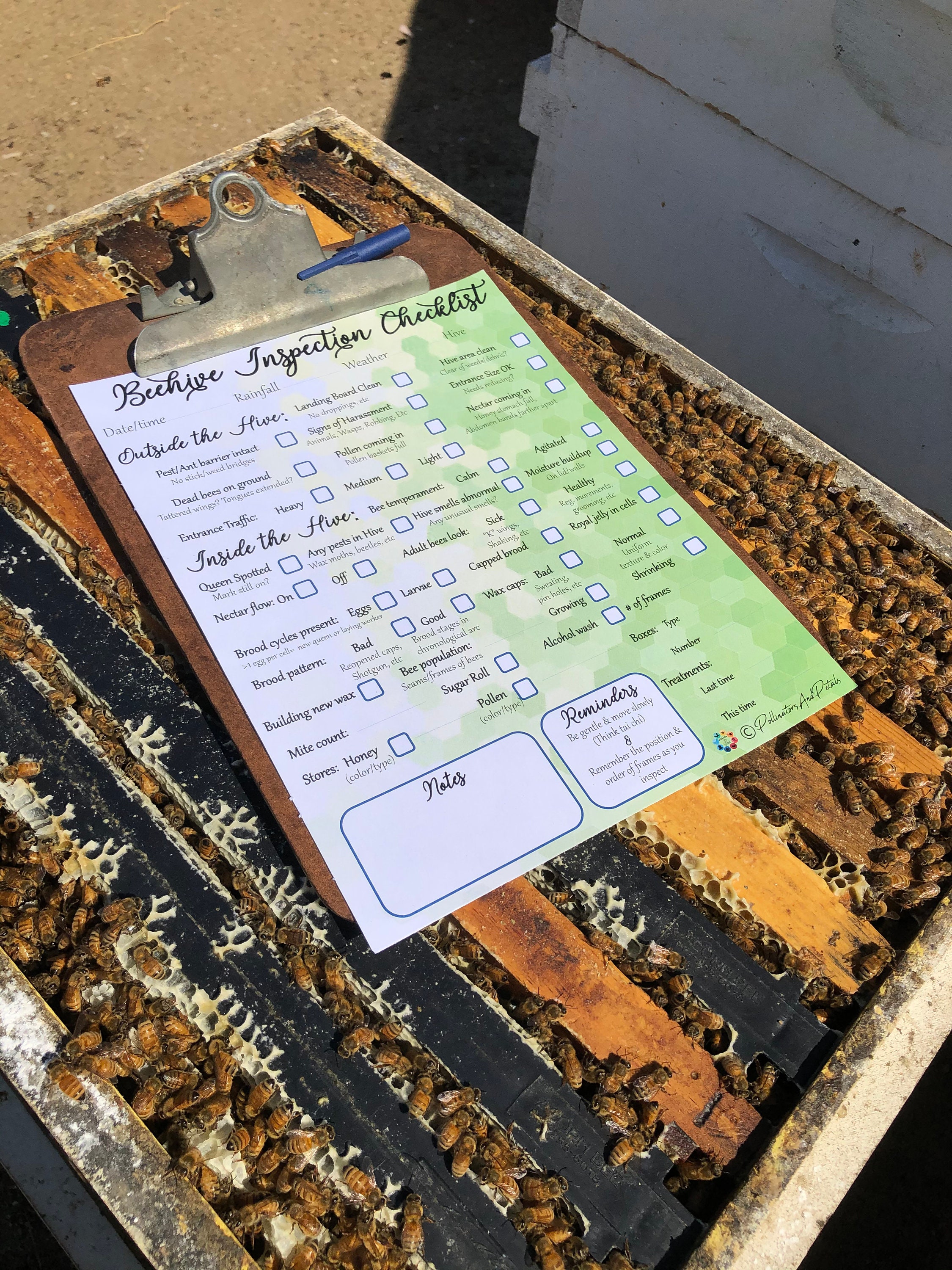 White & Green Hexagon Beehive Inspection Checklist ~ Beekeeping Notes ...