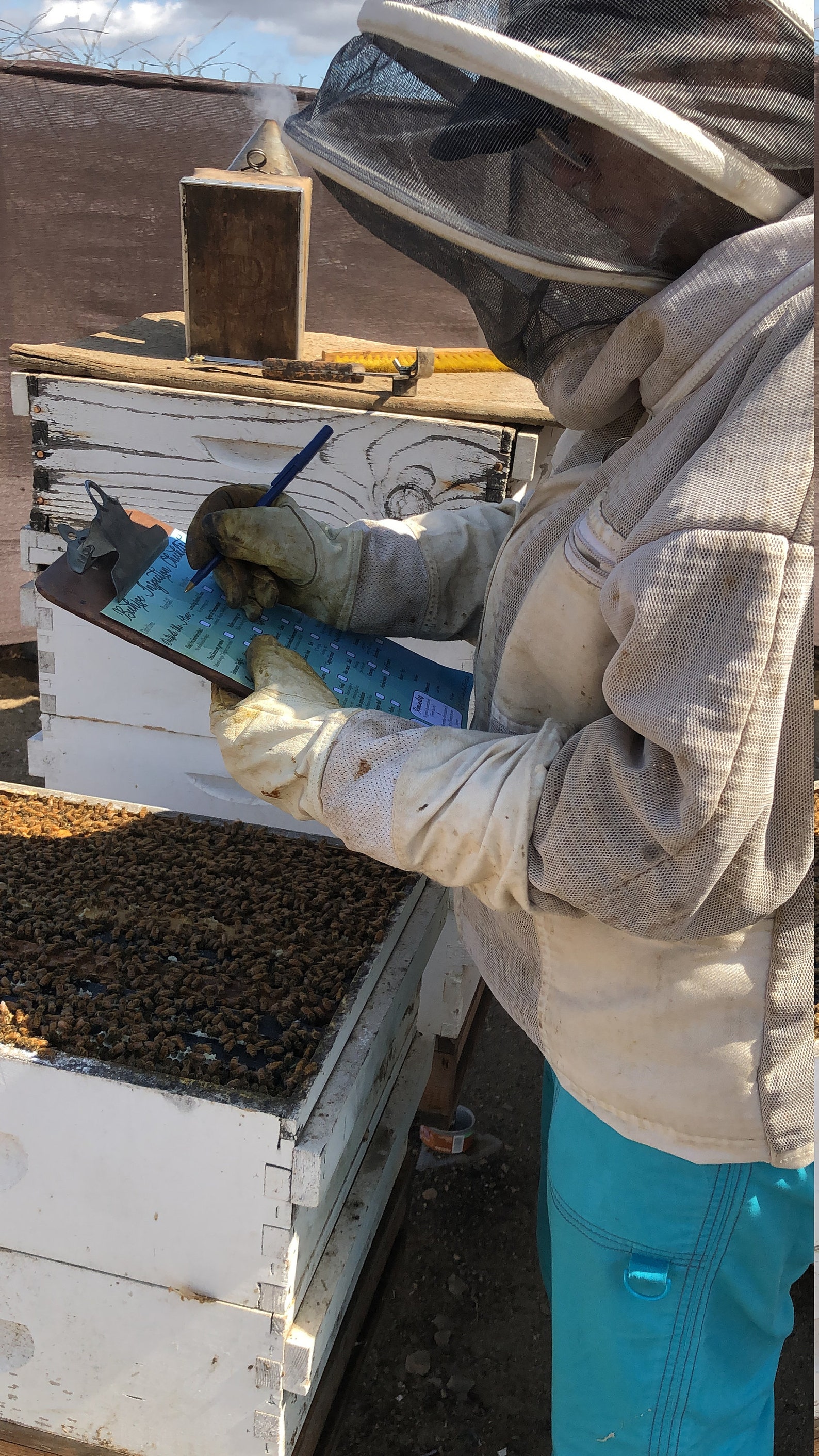 Beige Honeycomb Beehive Inspection Checklist ~ Beekeeping Notes ~ Honey ...