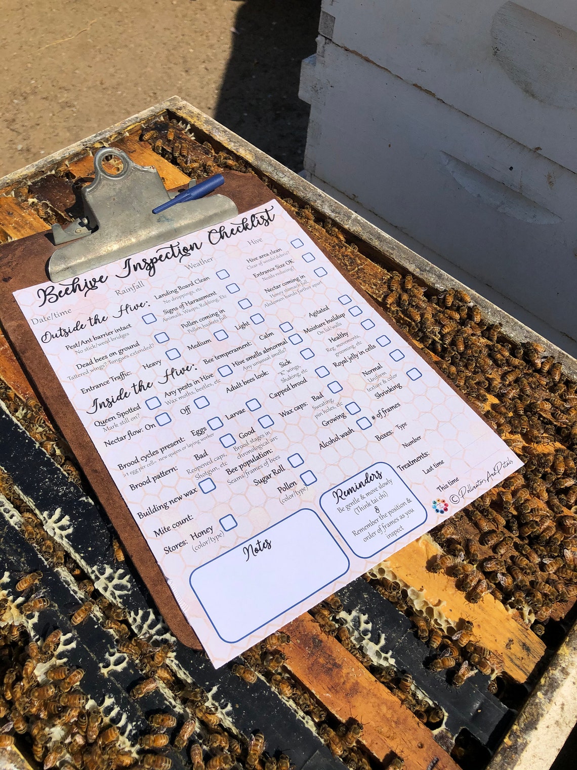 Beige Honeycomb Beehive Inspection Checklist ~ Beekeeping Notes ~ Honey ...