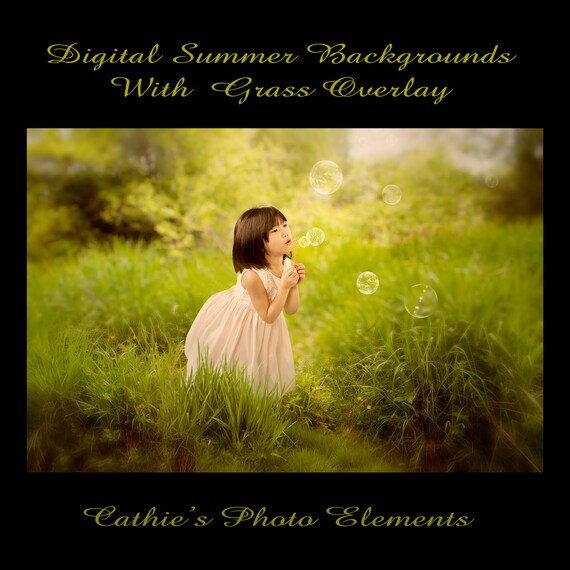 Summer Background/photoshop Background/transparent Png/spring - Etsy