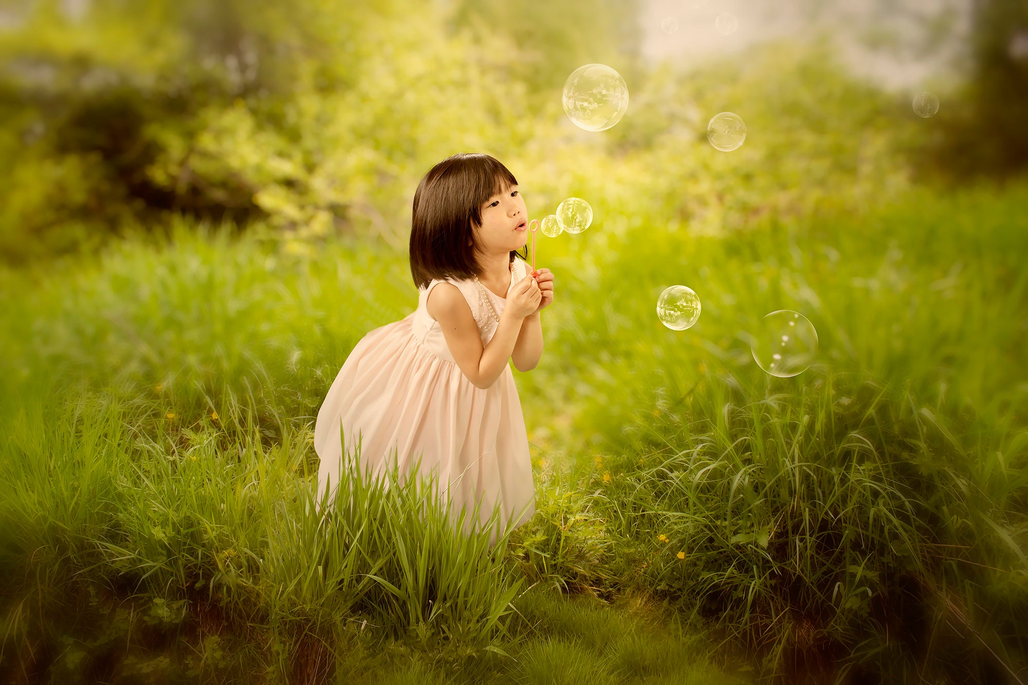 Summer Background/photoshop Background/transparent Png/spring ...