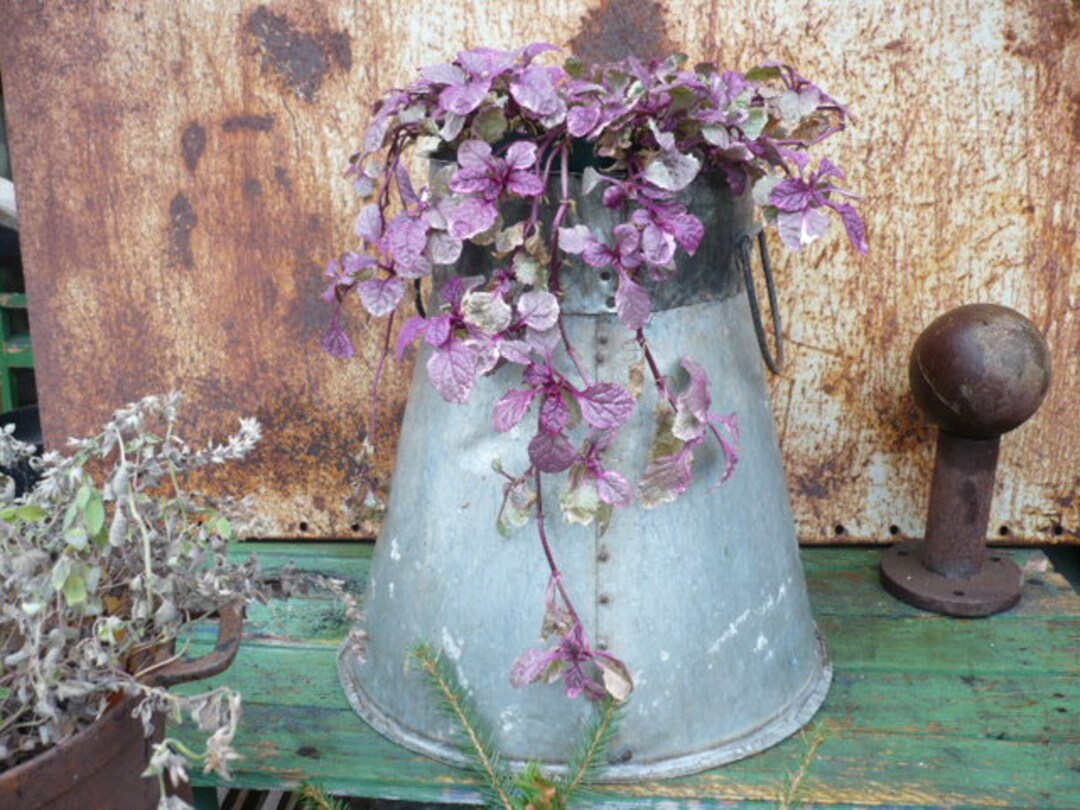 Large Tin Pot, Upcycled, Metal, Planter, Industrial, Scrap Metal ...