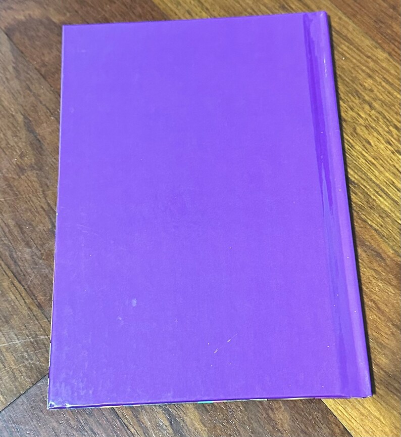 Disney's the Hunchback of Notre Dame 1996, Hardcover - Etsy