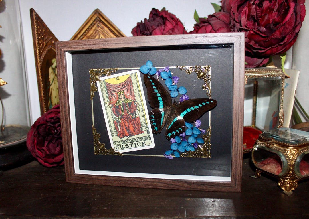 Naturalized Butterfly Frame Graphium Sarpedon Oddities Tarot Justice ...