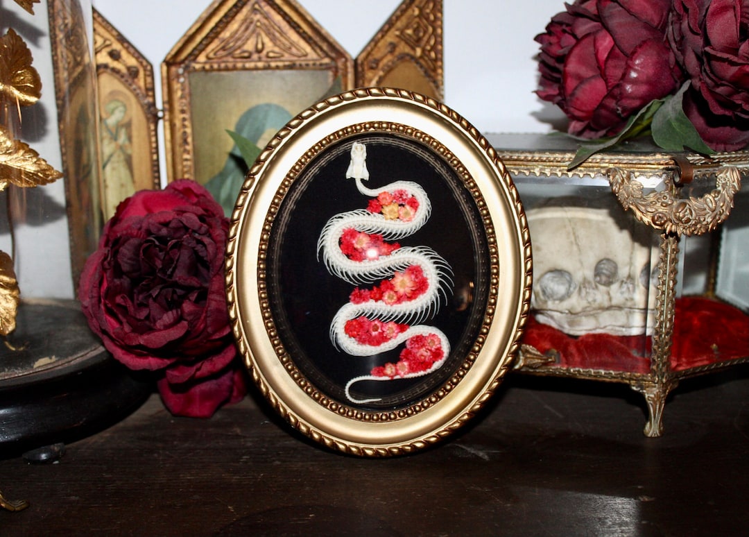 Real Frame Skeleton Snake Taxidermy Curiosities Oddities Old France ...