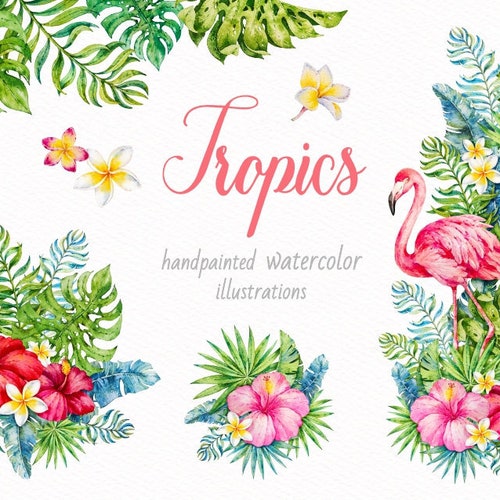 Hand Painted Watercolor Tropical Clipart Tropical Watercolor | Etsy