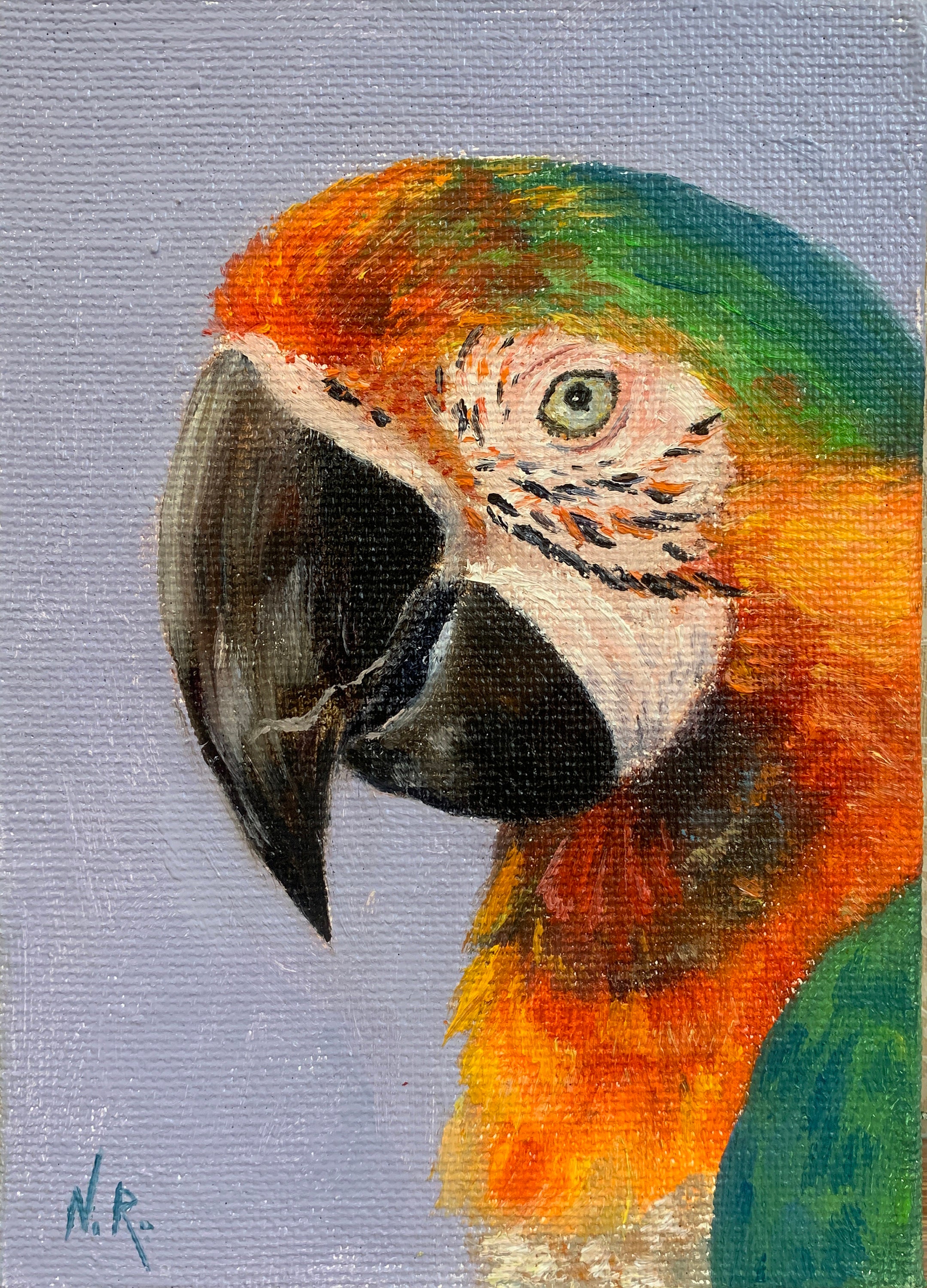 Loro sobre lienzo La imagen con el loro pintura pequeña 5 | Etsy