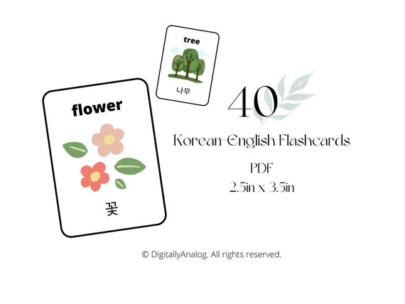 40 Korean English First Words Flashcards / Prints Digital - Etsy