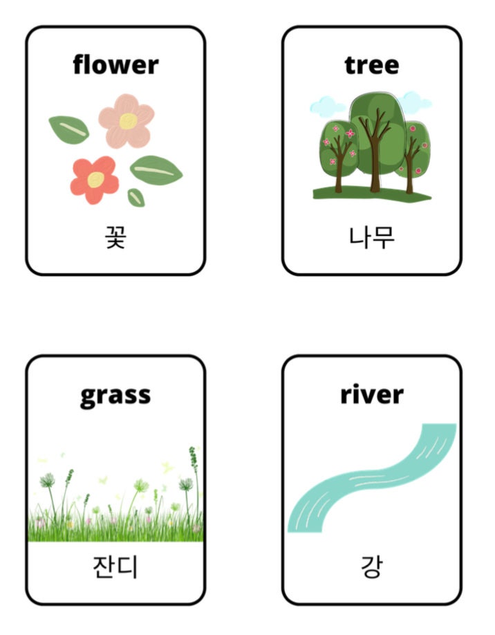 40 Korean English First Words Flashcards / Prints - Digital | Printable ...