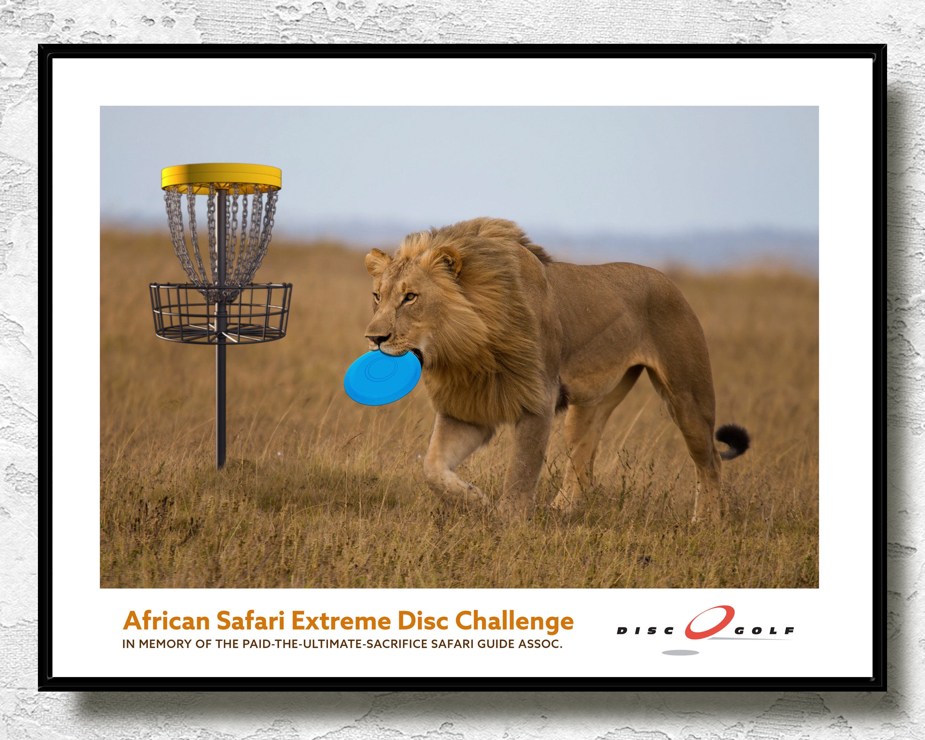 Extreme Disc Golf Locations - Africa Digital Print: 8 X 10 & 11 X 14 ...