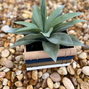 Book Planter for Readers, Stack of Books Succulent Plant Pot, Succulent ...