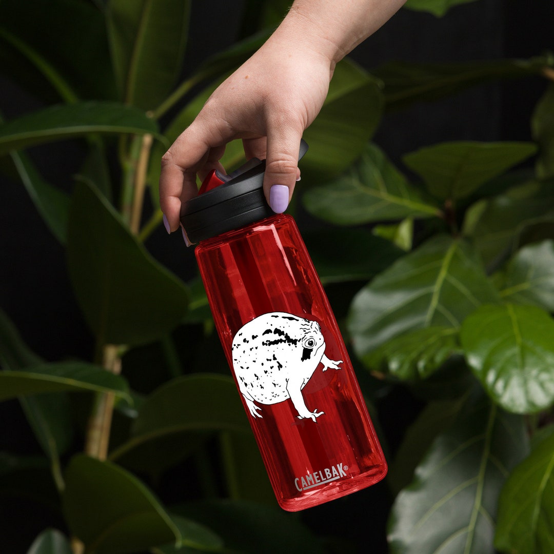 Desert Rain Frog Water Bottle, Sports Water Bottle, Frog Gift ...