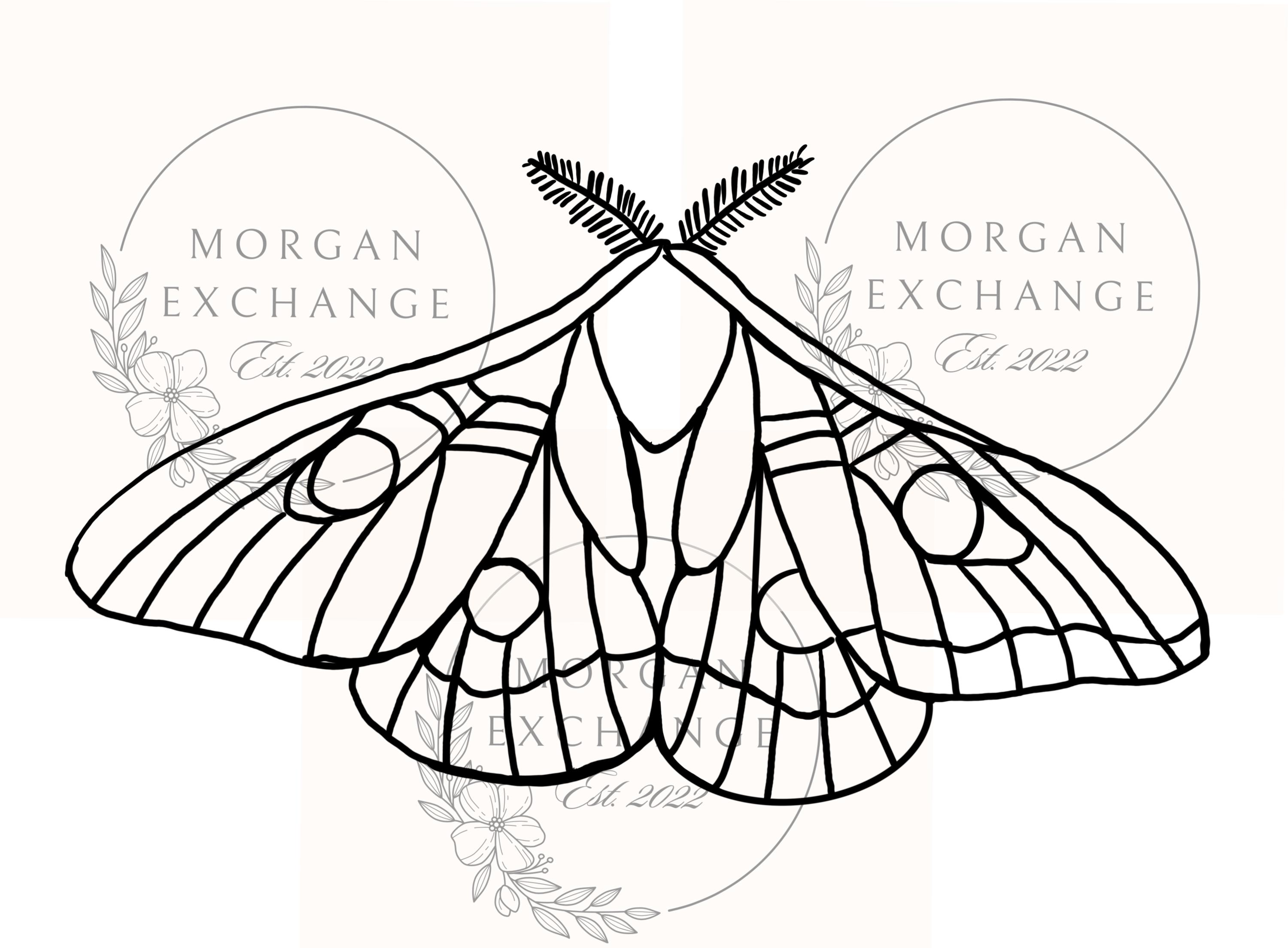 Moth Stained Glass Pattern - Etsy