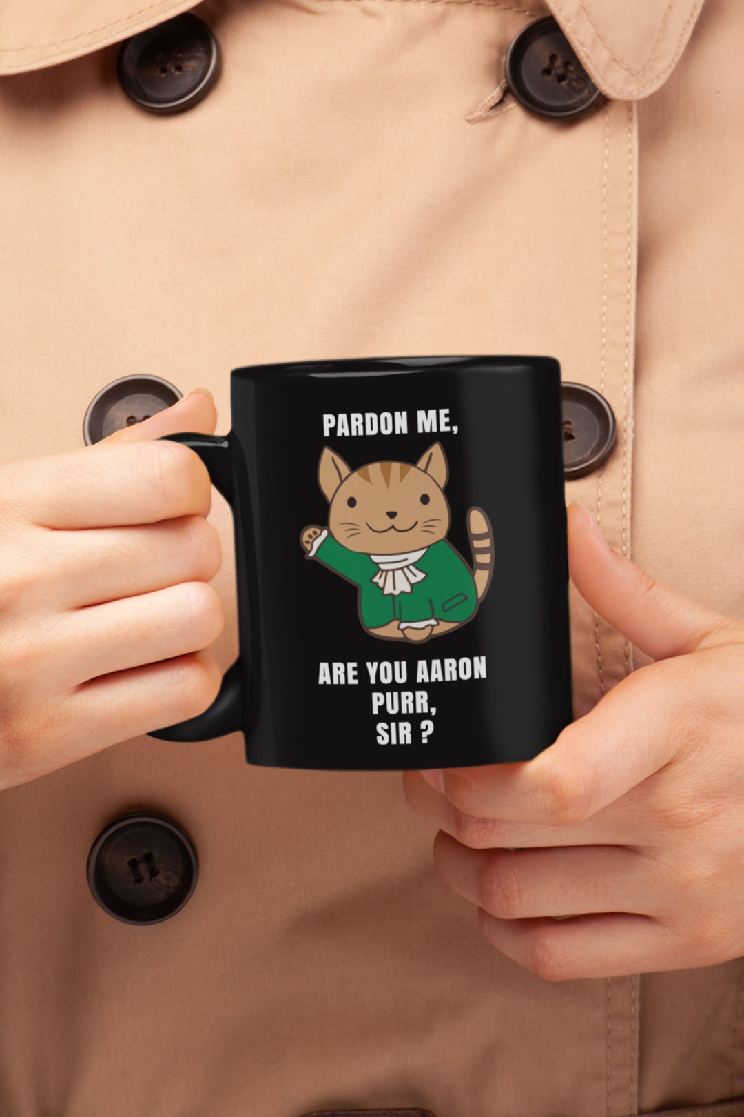 Pardon Me Are You Aaron Purr Sir Coffee Mug, Funny Adult Alexander ...