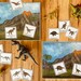 Dinosaur Unit: Science Pack - Etsy